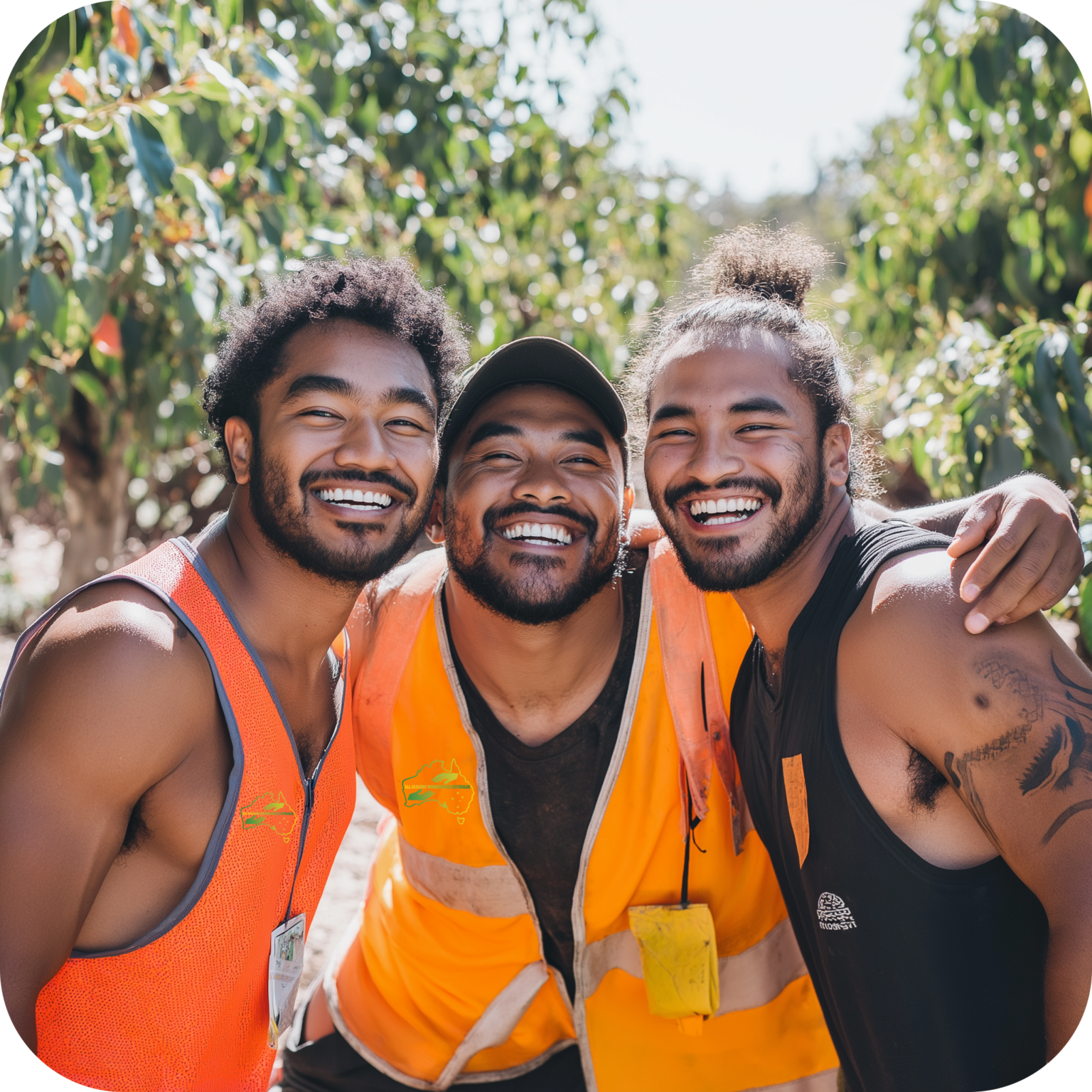 THE SEASONAL WORKER PROGRAMME IN AUSTRALIA – All Seasons Workforce ...