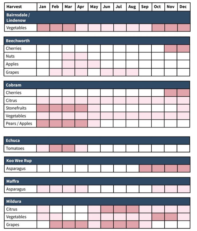 Workforce Australia Harvest – How To Get A Harvest Work – UKOBBQ